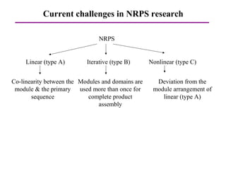 The World of Nonribosomal Peptides | PPT