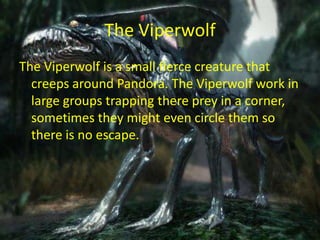 The World of Pandora | PPTX | Sci-fi and Fantasy | Hobbies & Interests