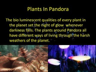 The World of Pandora | PPTX | Sci-fi and Fantasy | Hobbies & Interests