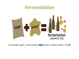 THE WORLD OF WINE- UNDERSTANDING WINE ORIGIN & FLAVOUR | PPT