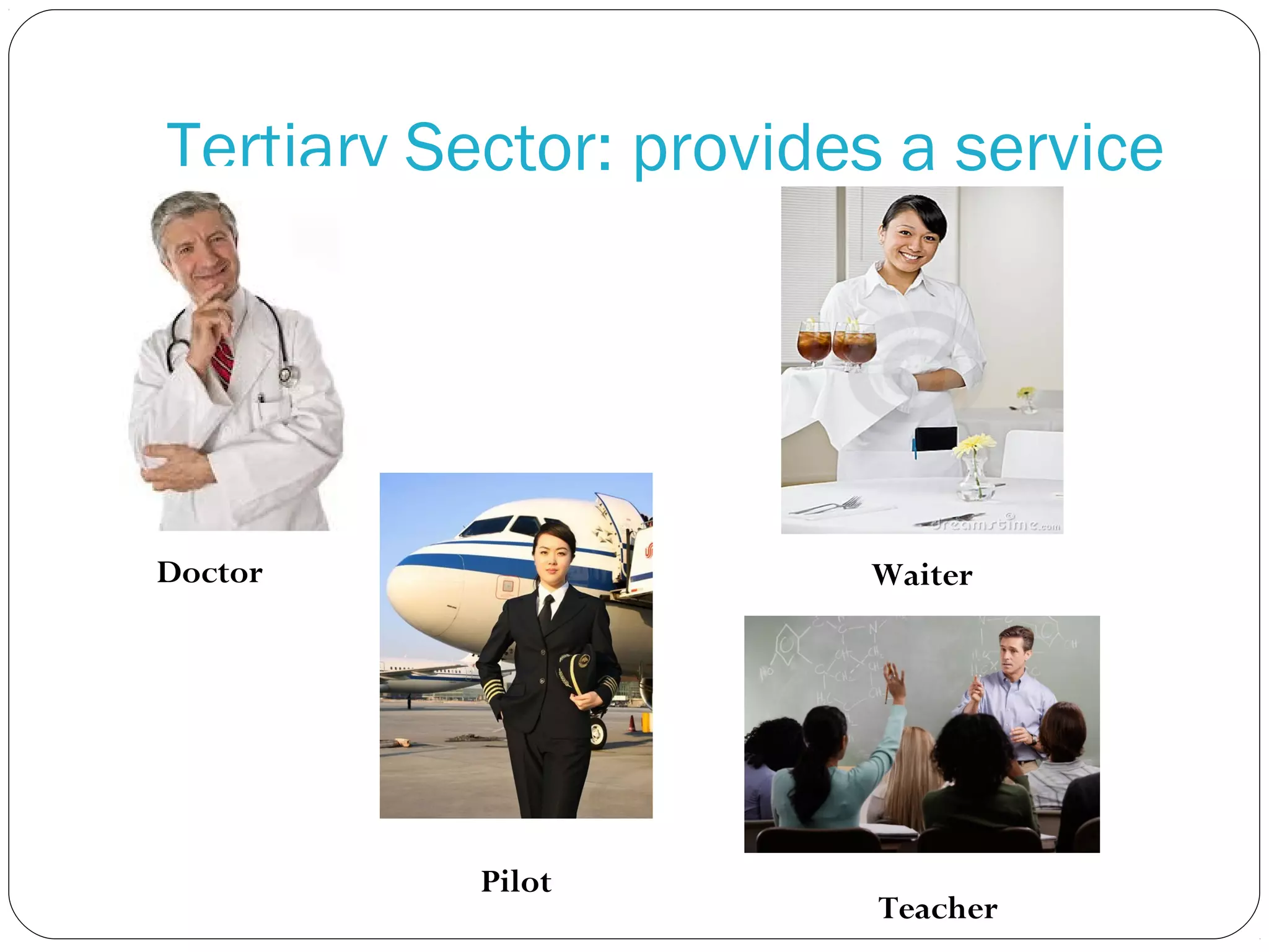 The world of work | PPT
