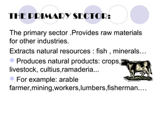 The world of work by Zaina | PPT