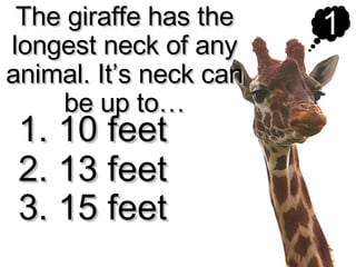 The Worlds Longest | PPT