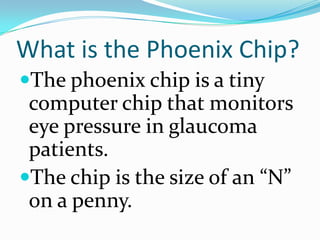 The world's smallest computer the phoenix chip | PPT