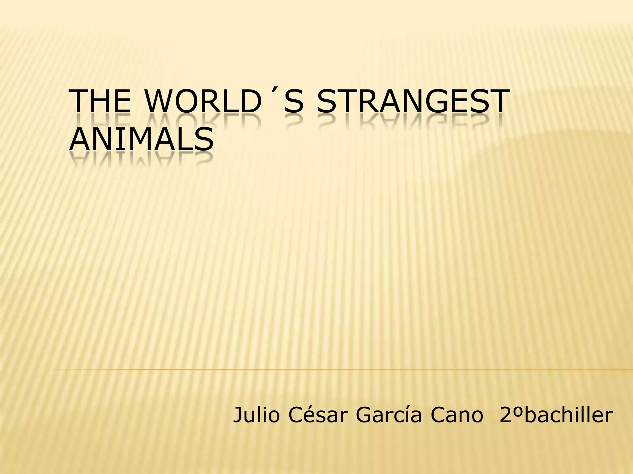 The world´s strangest animals | PPTX