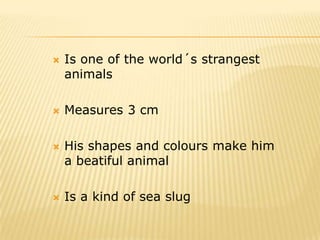 The world´s strangest animals | PPTX