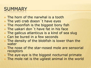 The world´s strangest animals | PPTX
