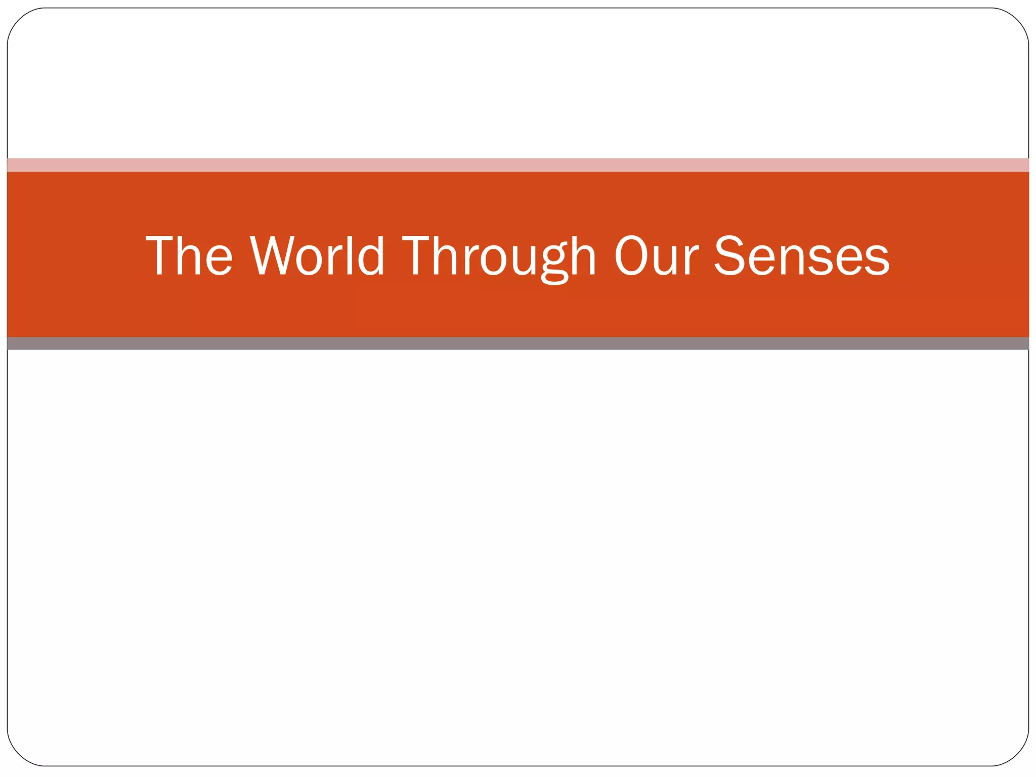 The world through our sense | PPT