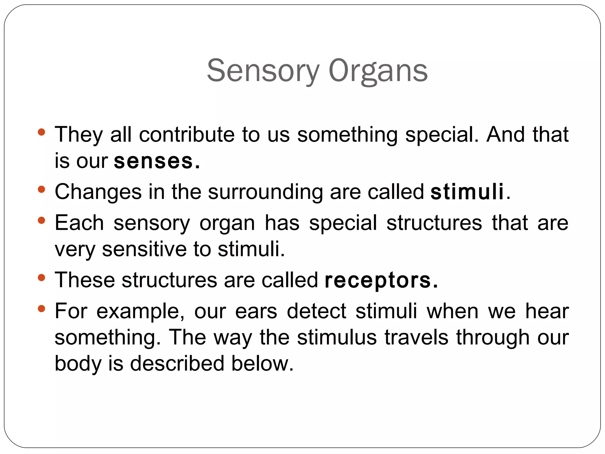 The world through our sense | PPT