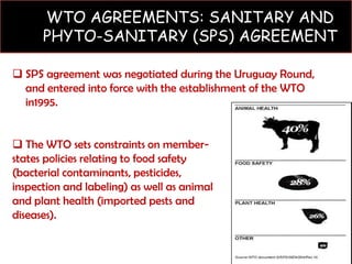 The world trade organization (wto) | PPTX