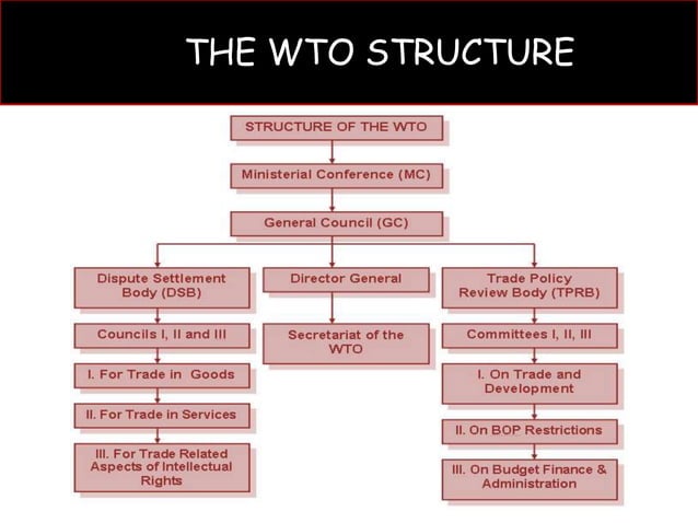 The world trade organization (wto) | PPTX