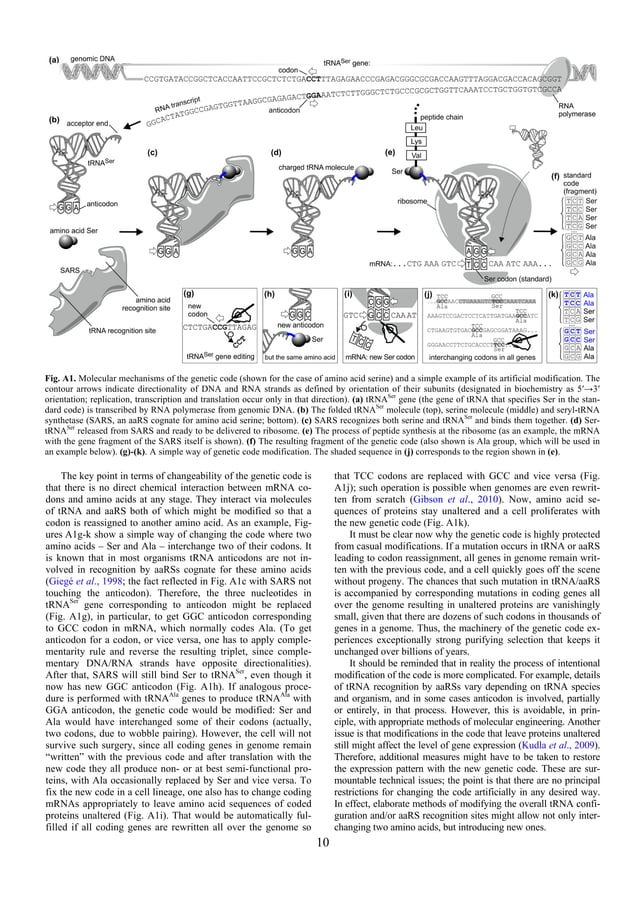 The “wow! signal” of the terrestrial genetic code | PDF