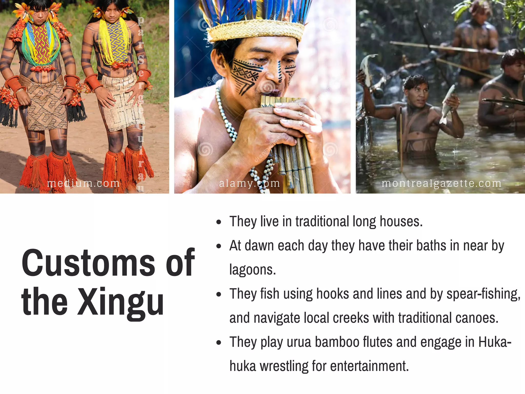 Case Study of the Xingu People of the Amazon Basin | PDF