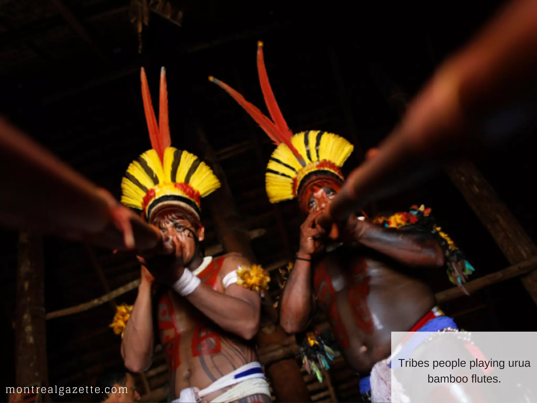 Case Study of the Xingu People of the Amazon Basin | PDF
