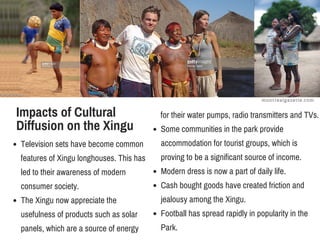 Case Study of the Xingu People of the Amazon Basin | PDF