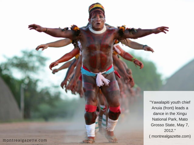 Case Study of the Xingu People of the Amazon Basin | PDF | Environment ...