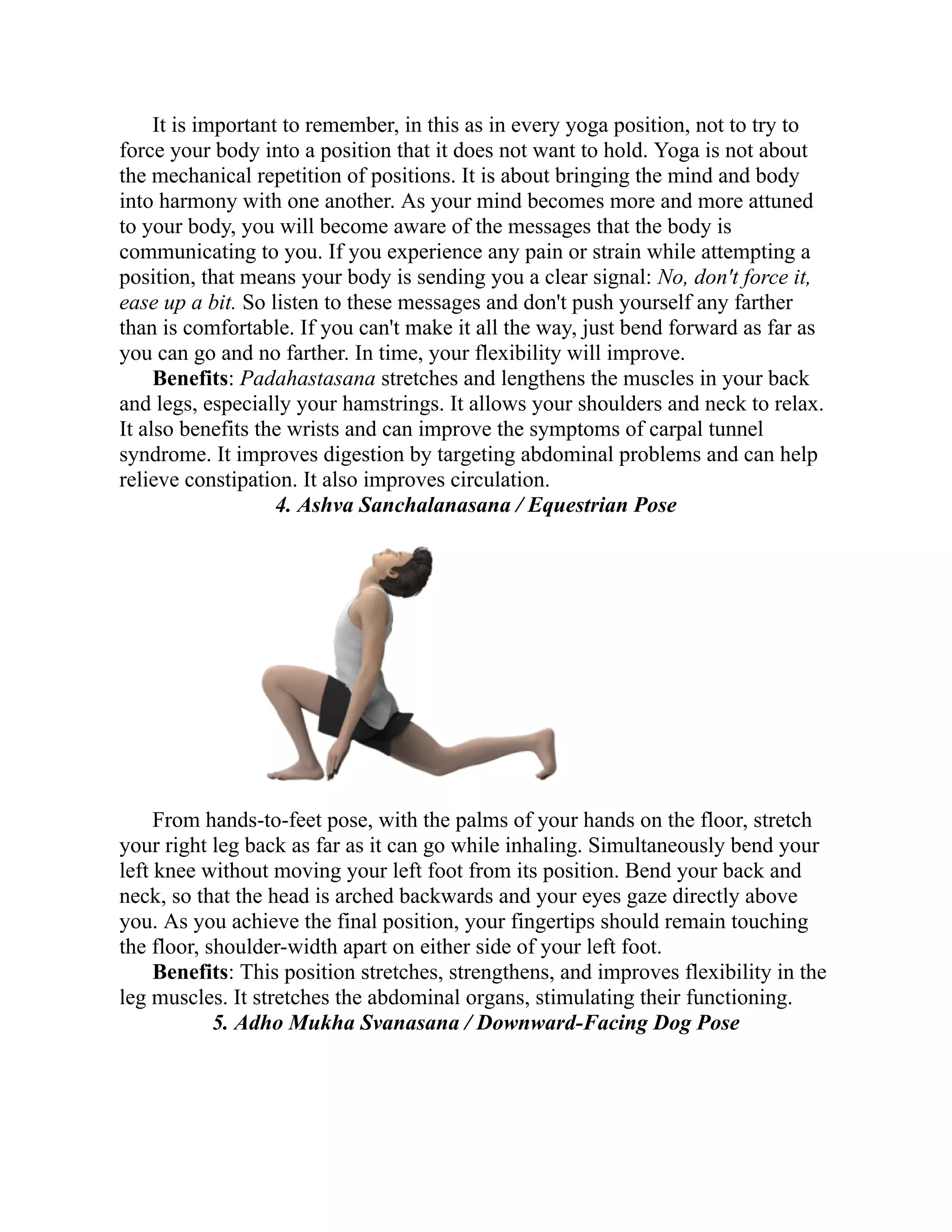 The yoga beginner's bible | PDF
