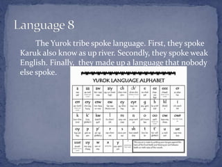 The Yurok Tribe - Historian Chase Little | PPT