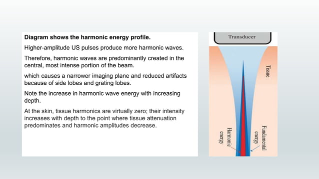 Tissue harmonic imaging | PPTX | Digital Audio | Computer Software and ...