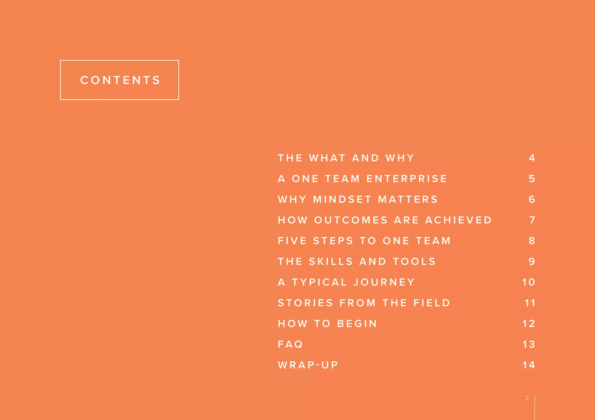 Essential Guide to Think One Team | PDF