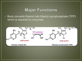 Thiamin Presentaion | PPTX