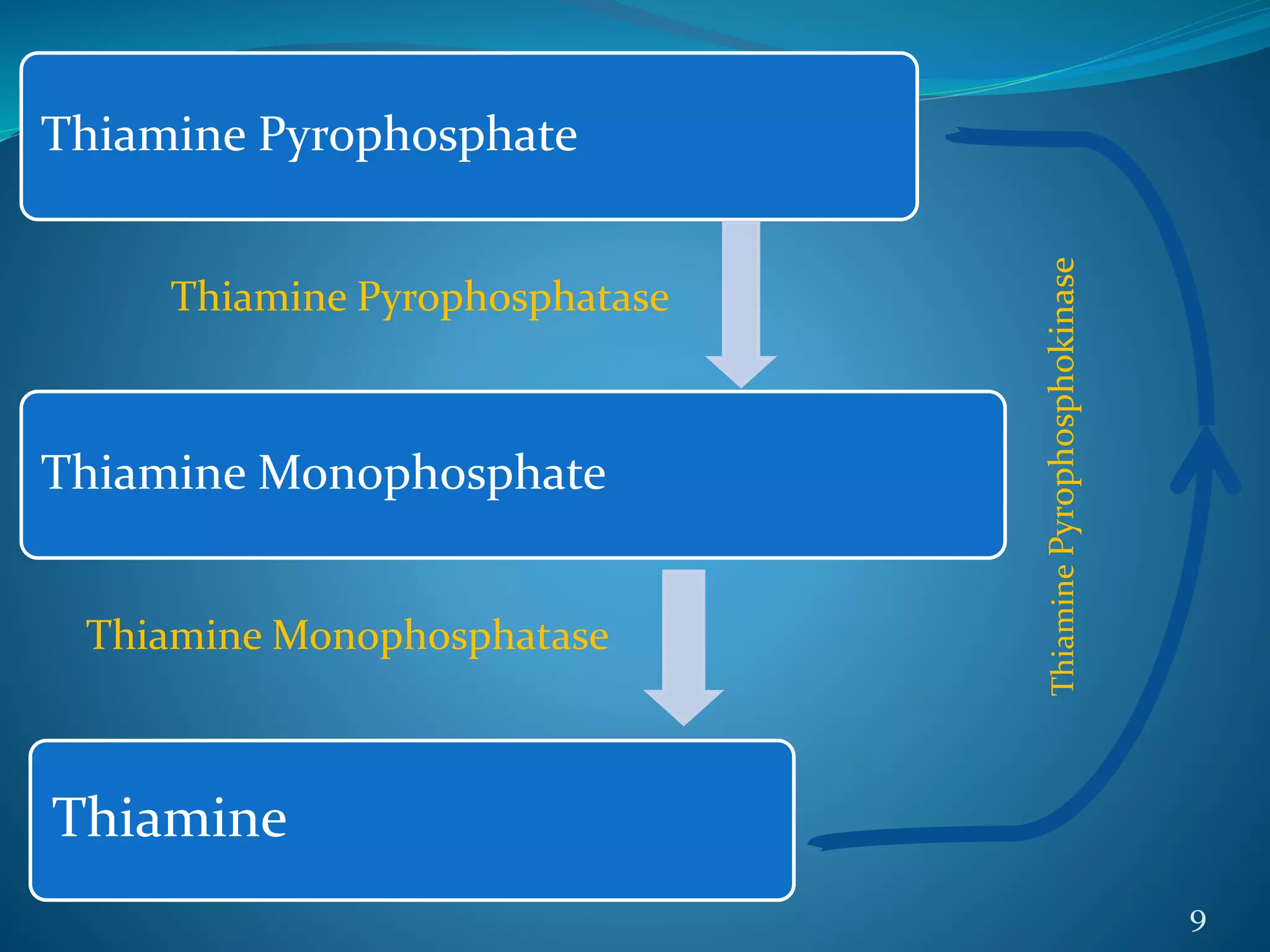 Thiamine | PPTX