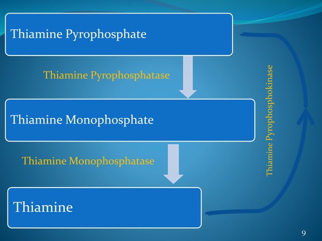 Thiamine | PPTX | Blood Disorders | Diseases and Conditions