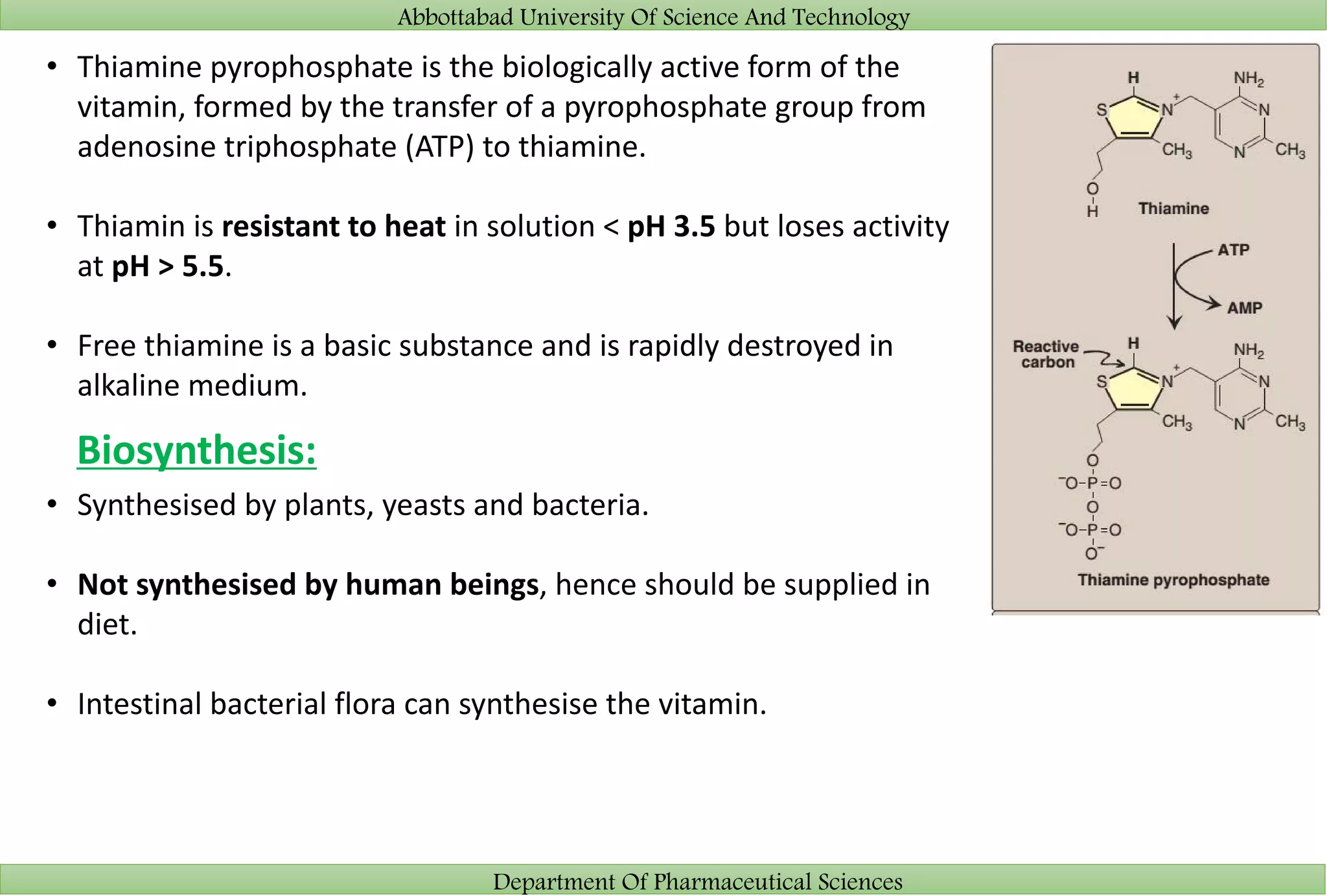 Thiamine Vitamin B1 lecture slides | PDF