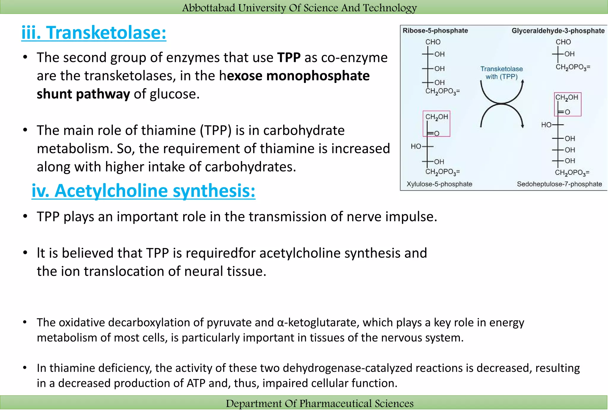 Thiamine Vitamin B1 lecture slides | PDF