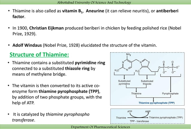 Thiamine Vitamin B1 lecture slides | PDF