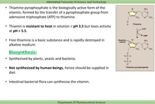 Thiamine Vitamin B1 lecture slides | PDF