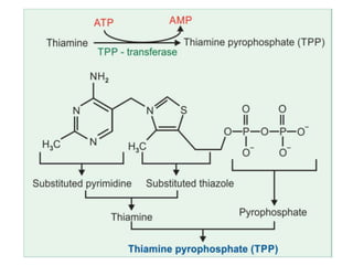 Thiamine.pptx