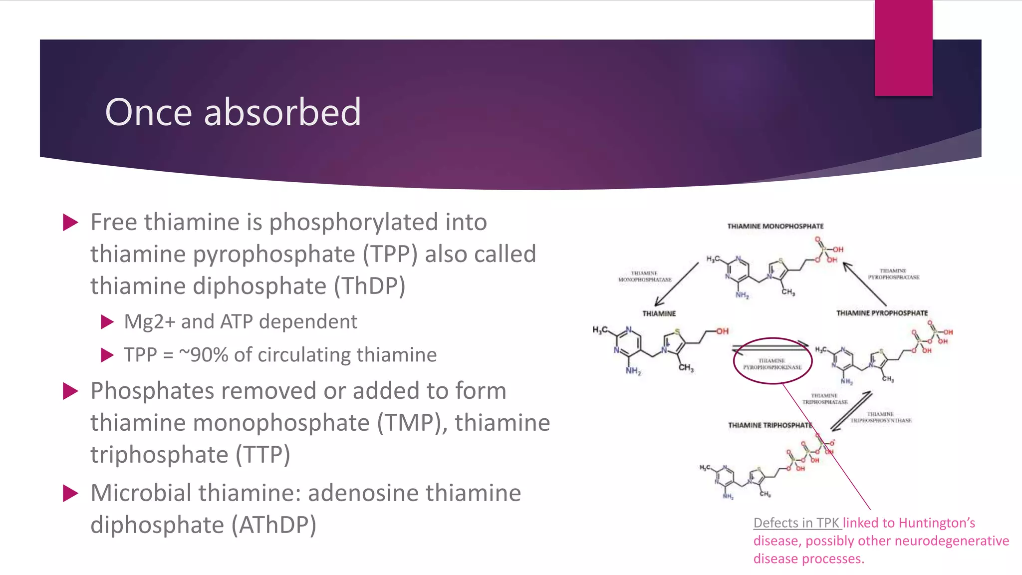 Thiamine and the energy to heal.pptx