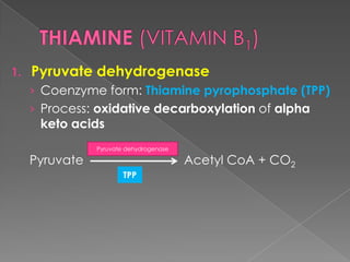 Thiamine (vitamin b1) and riboflavin (vitamin b2) actions as co-enzyme ...