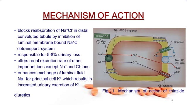 Thiazide diuretics | PPTX | Chemistry | Science