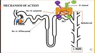 Thiazide diuretics | PPTX