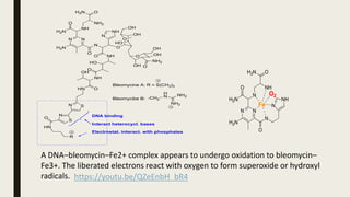 Thiazole and thiazole containing drugs | PPT