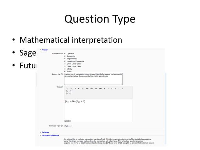 Mathematics in Moodle - Patrick Thibaudeau, Donald Ipperciel | PDF