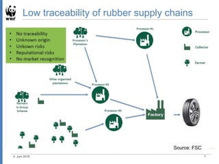 Thibault presentation rubber-mlrg final | PPTX | Asia Travel | Travel ...