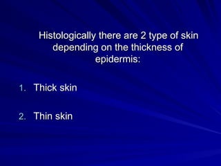 Histological Structure of thick and thin skin.ppt