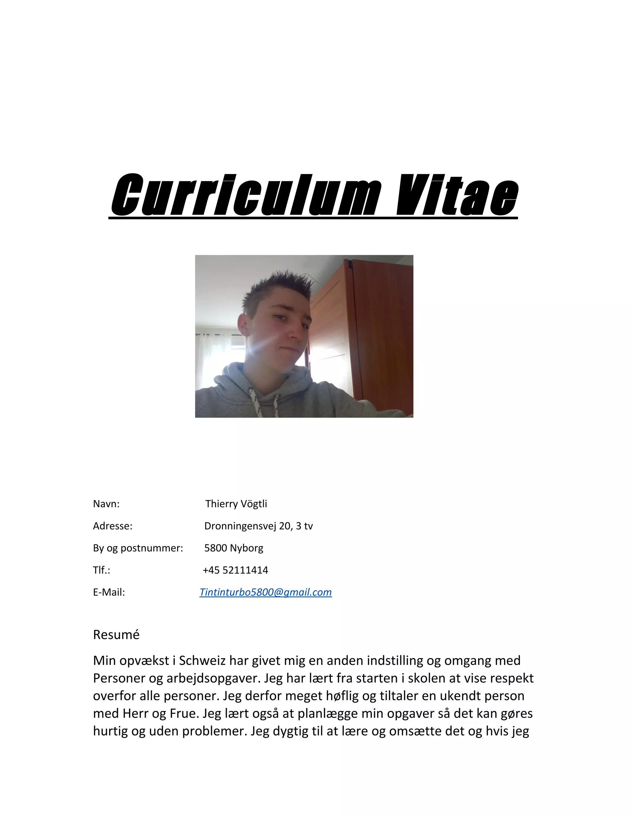 Thierry cv 2019 | PDF