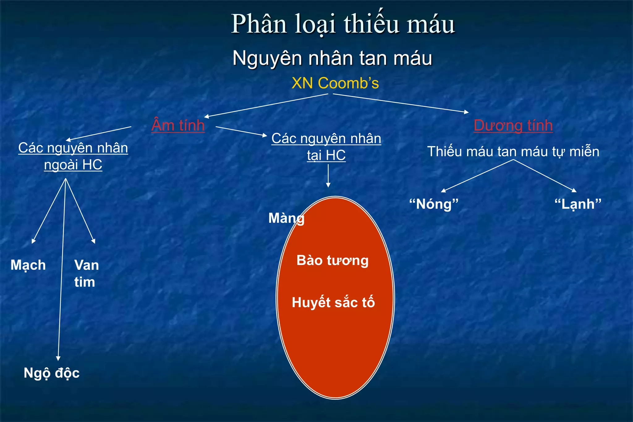 thieu-mau.ppt | Free Download