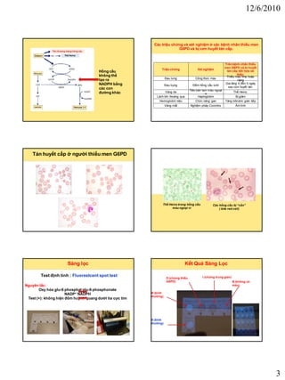 Thieu men g6 pd | PDF