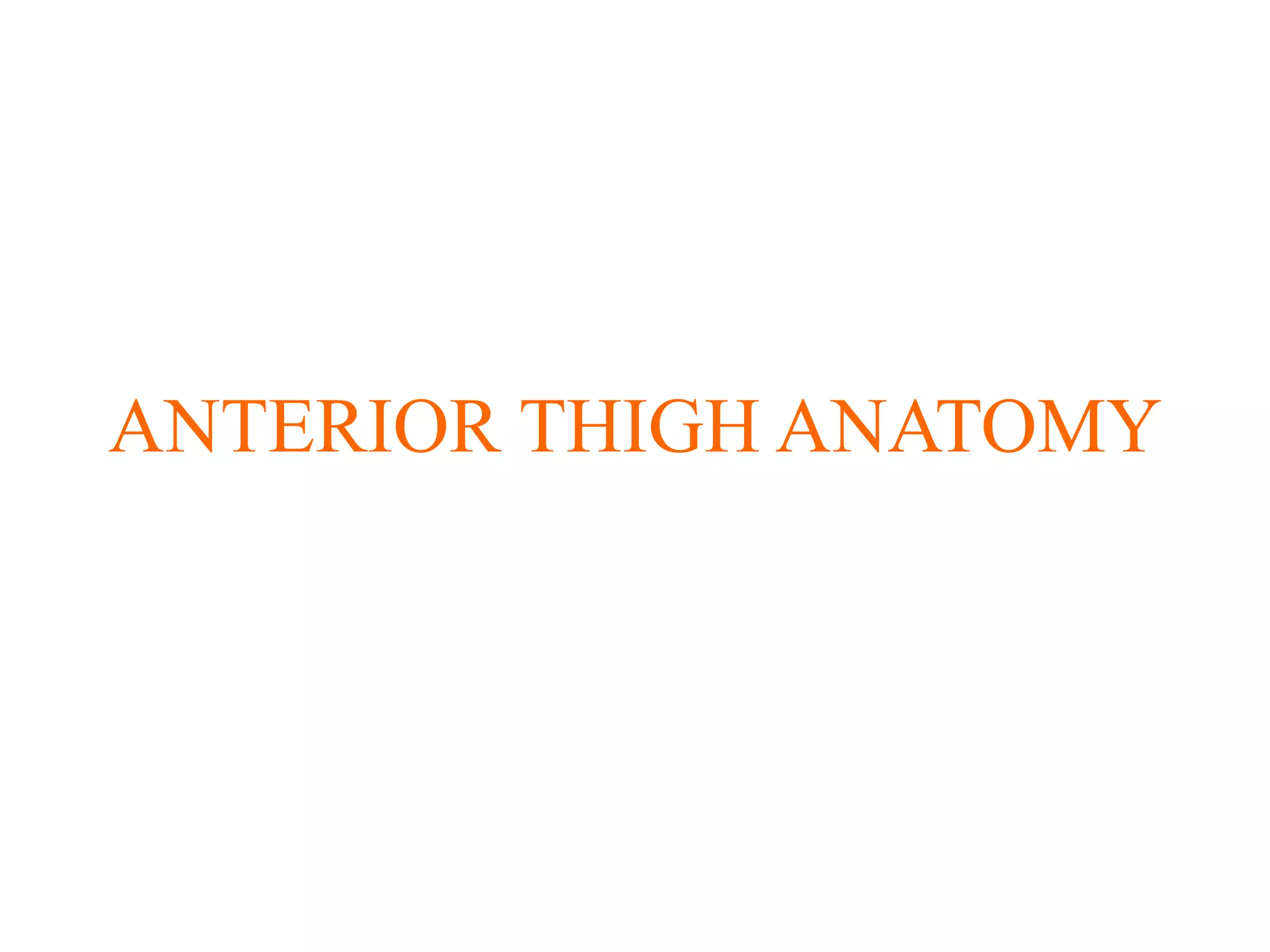 anatomy of thigh | PPTX