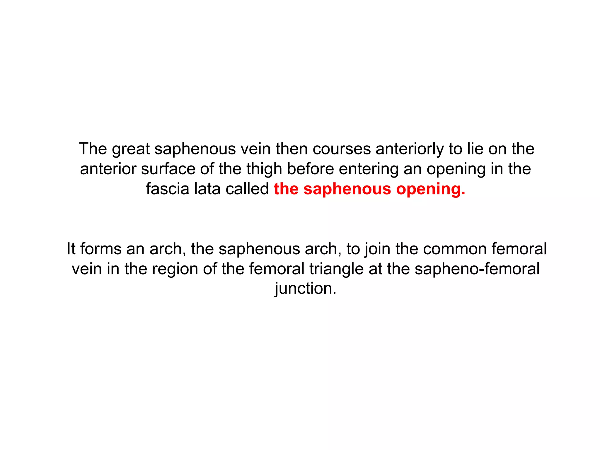 anatomy of thigh | PPTX