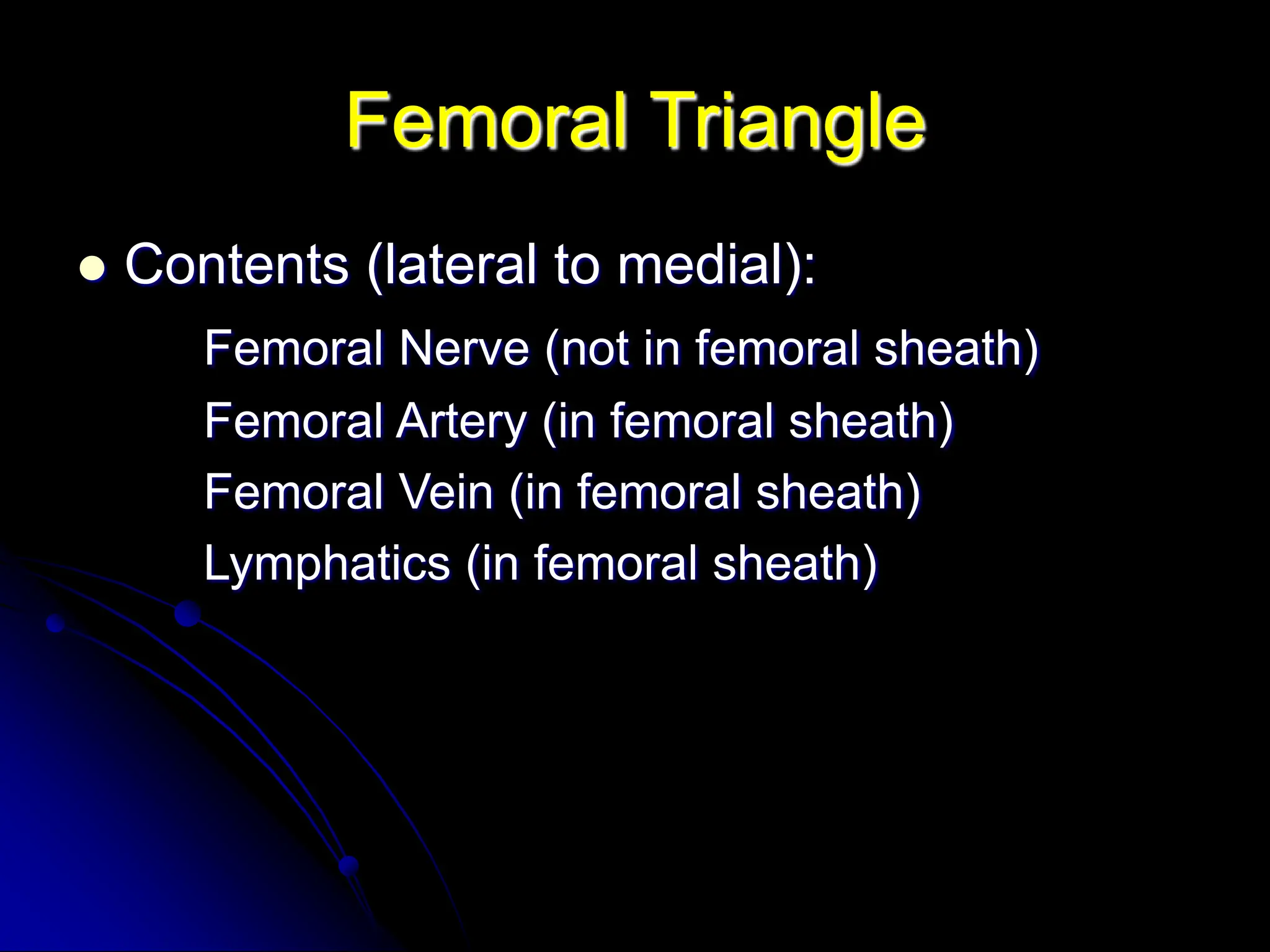 Thigh and Femoral Triangle Student.ppt