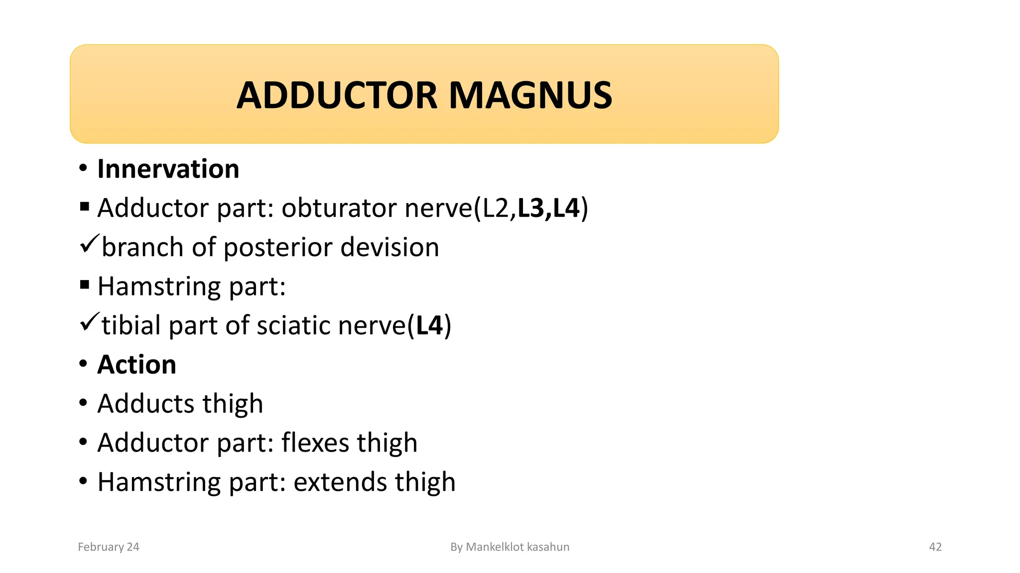 anterior medial compartment muscle neurovasculature femoral triangle ...
