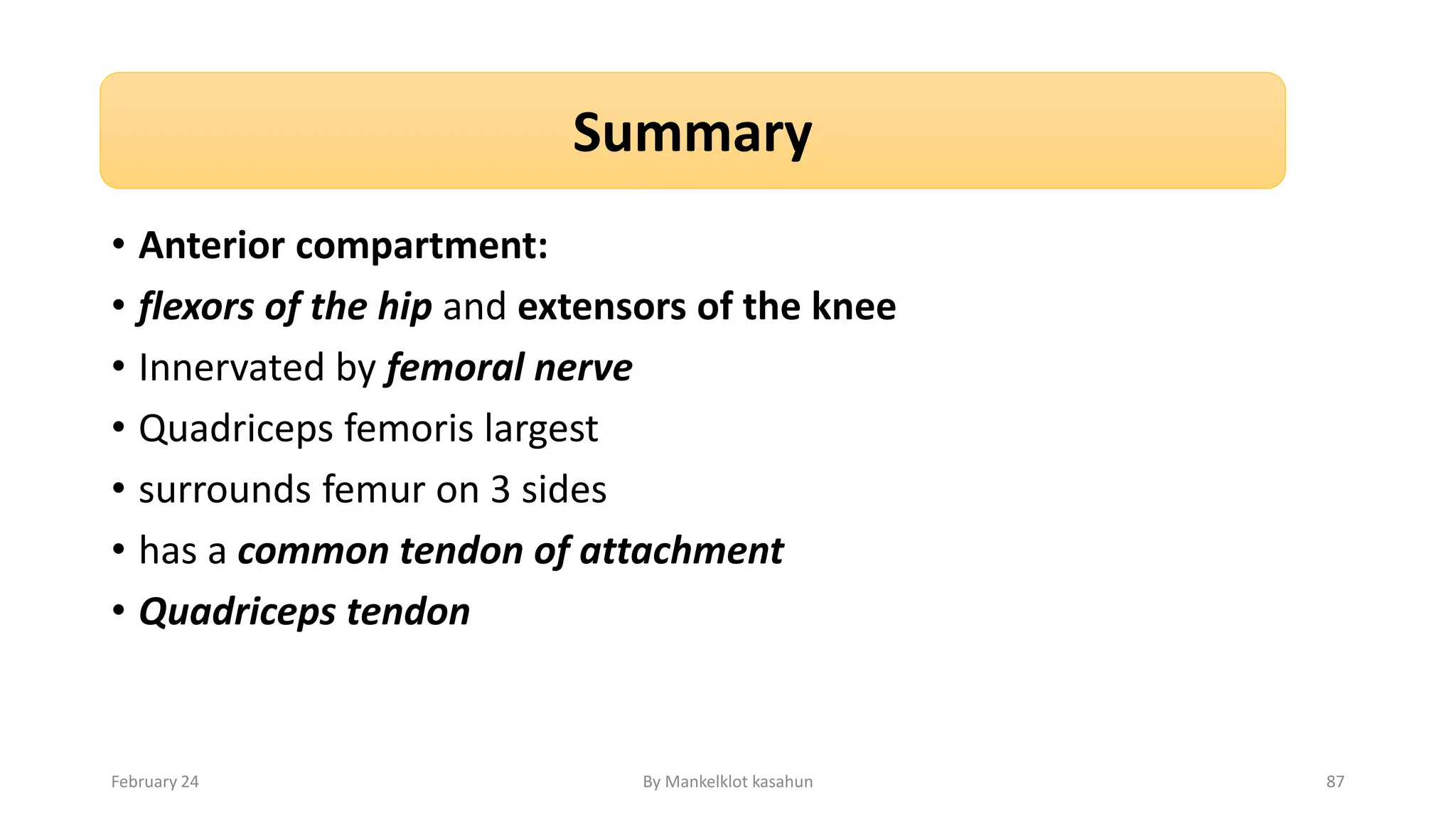 anterior medial compartment muscle neurovasculature femoral triangle ...
