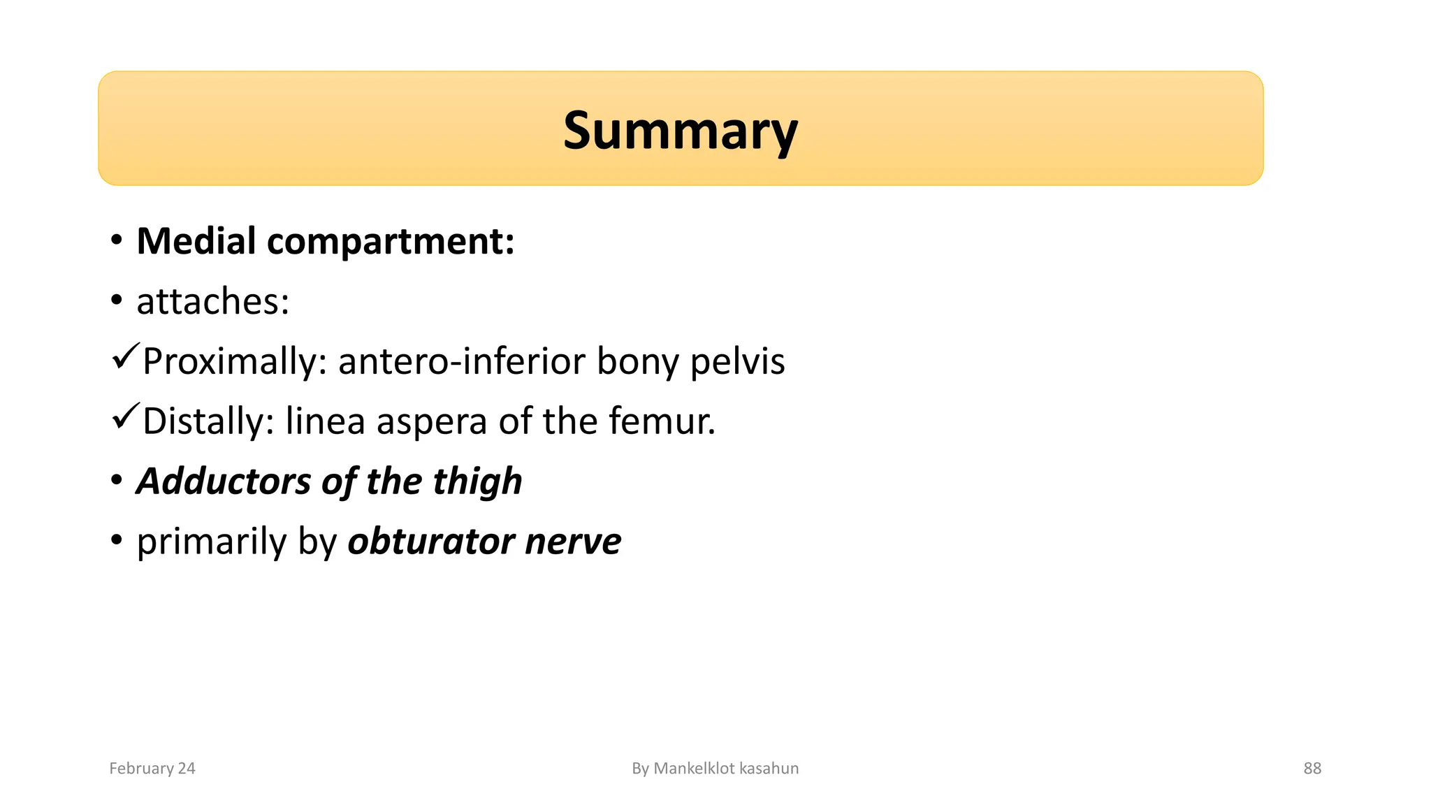 anterior medial compartment muscle neurovasculature femoral triangle ...