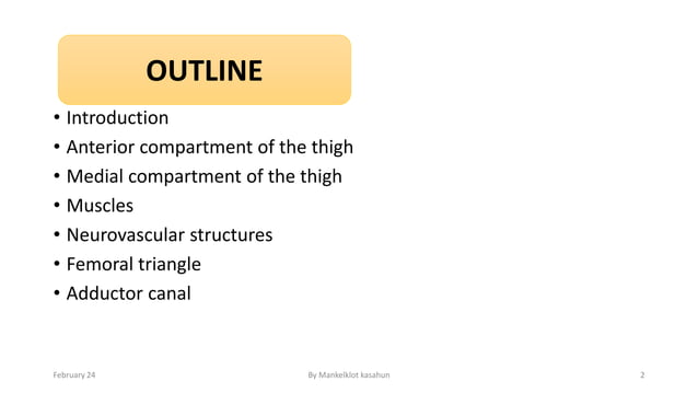 anterior medial compartment muscle neurovasculature femoral triangle ...